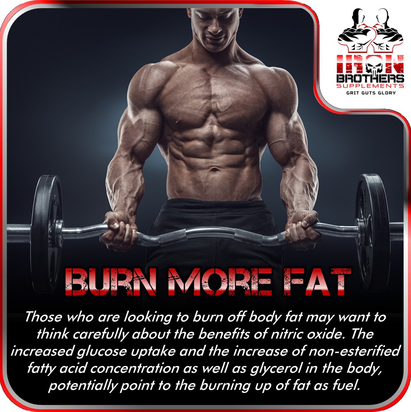 Nitric Oxide Supplements NO2 Booster Pre workout with Fermented L ...