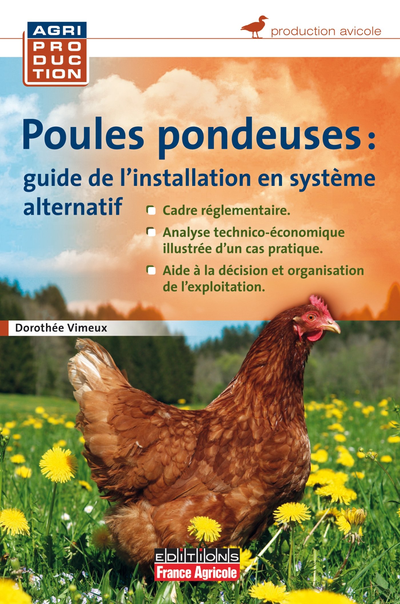 Elever Des Poules Pondeuses Les 5 Erreurs A Eviter Absolument