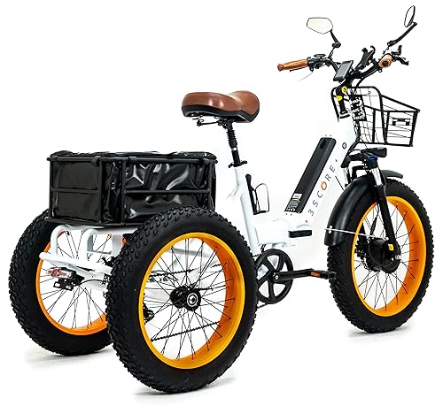 3SCORE Electric Fat Trike 750W Motor and 48V Lithium Rechargeable ...