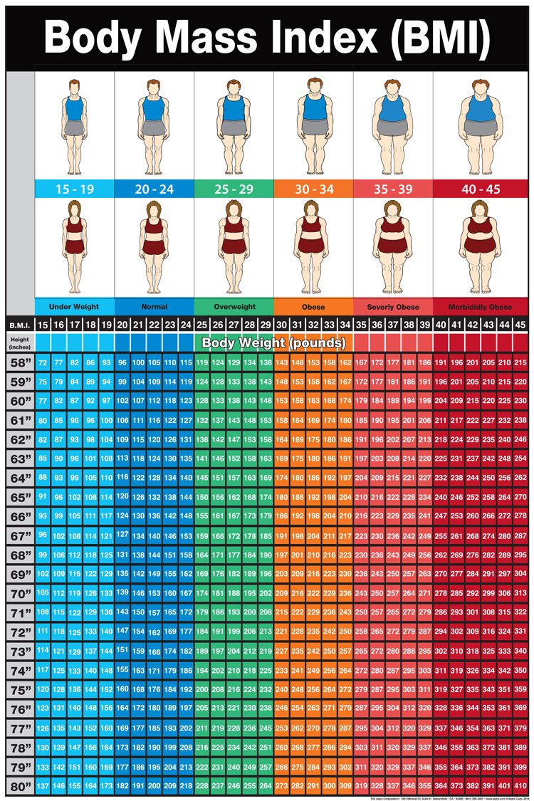 Bmi Chart Bmi Chart
