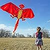 HENGDA KITE-New Ice and Fiery Dragon Kite-Easy to Fly-52inch x 63inch ...