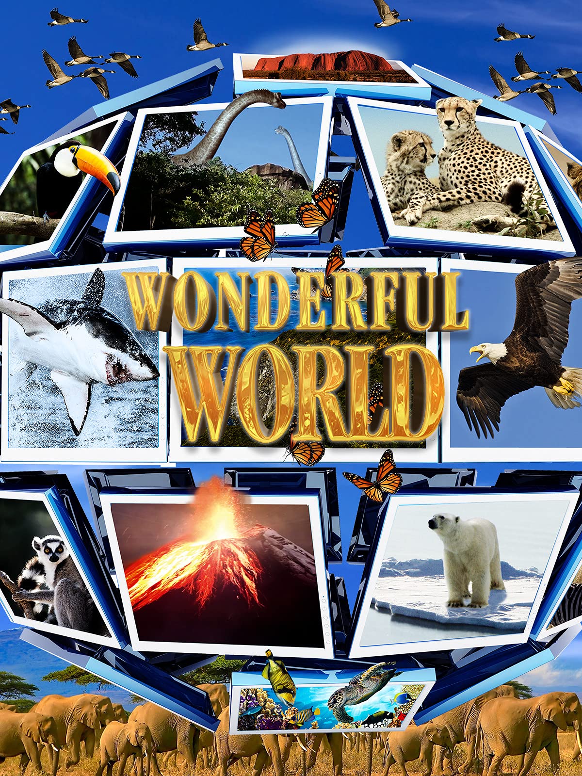 Watch Wonderful World | Prime Video