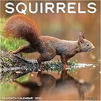The Secret Life of Squirrels Mini Wall Calendar 2023: Delightfully ...