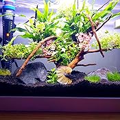 Fluval Spec Aquarium 19L White: Amazon.co.uk: Pet Supplies