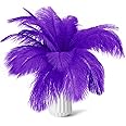 Amazon.com: 80pcs 15-17 inches (38-43 cm) Purple Natural Bulk Ostrich ...
