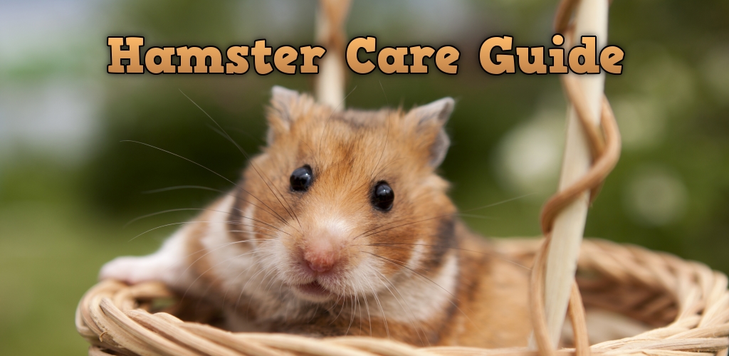 Hamster Care Guide: Amazon.es: Appstore para Android