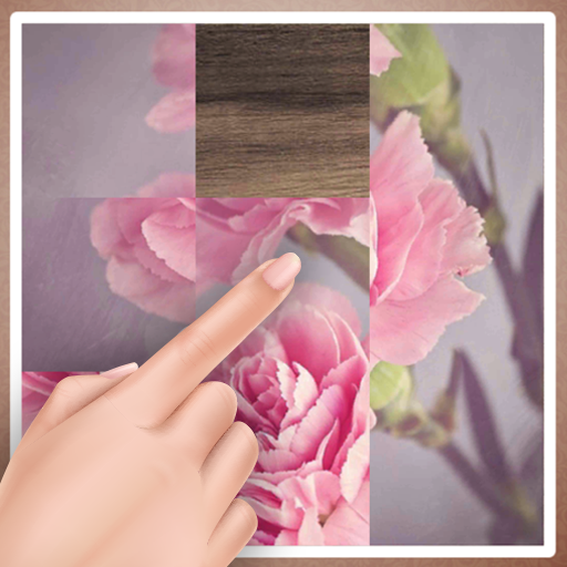 Sliding Puzzles - Picture Tile Slide:Amazon.com:Appstore for Android