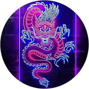 Amazon.com: ADVPRO Chinese Dragon Room Display Dual Color LED Neon Sign ...