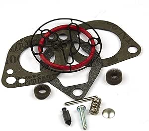 Amazon.com : Briggs & Stratton 696146 Carburetor Overhaul Kit : Lawn ...