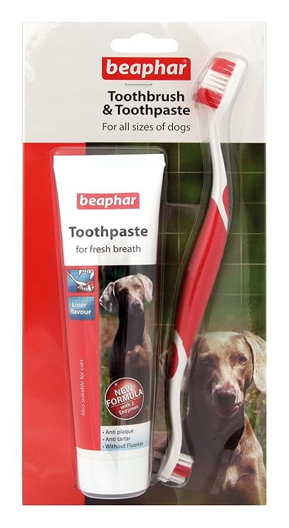 Beaphar Toothbrush & Toothpaste for All Sizes of Dogs, Liver Flavour ...