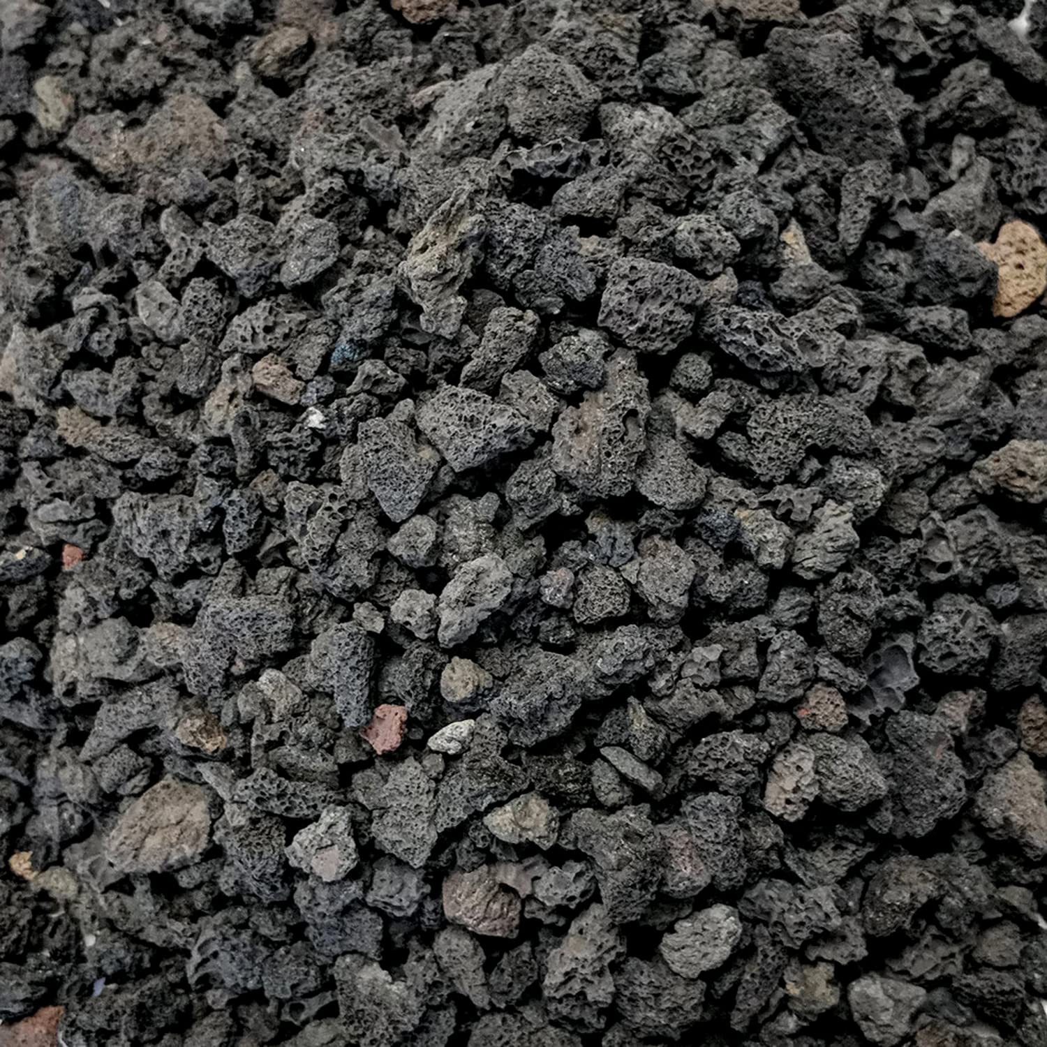 Black Lava Rocks for Plants Natural Horticultural Volcanic Rock (1/4 ...