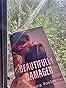Amazon.com: Beautifully Damaged (Shine Design Series Book 1) eBook : Pavlov, Laura: Kindle Store