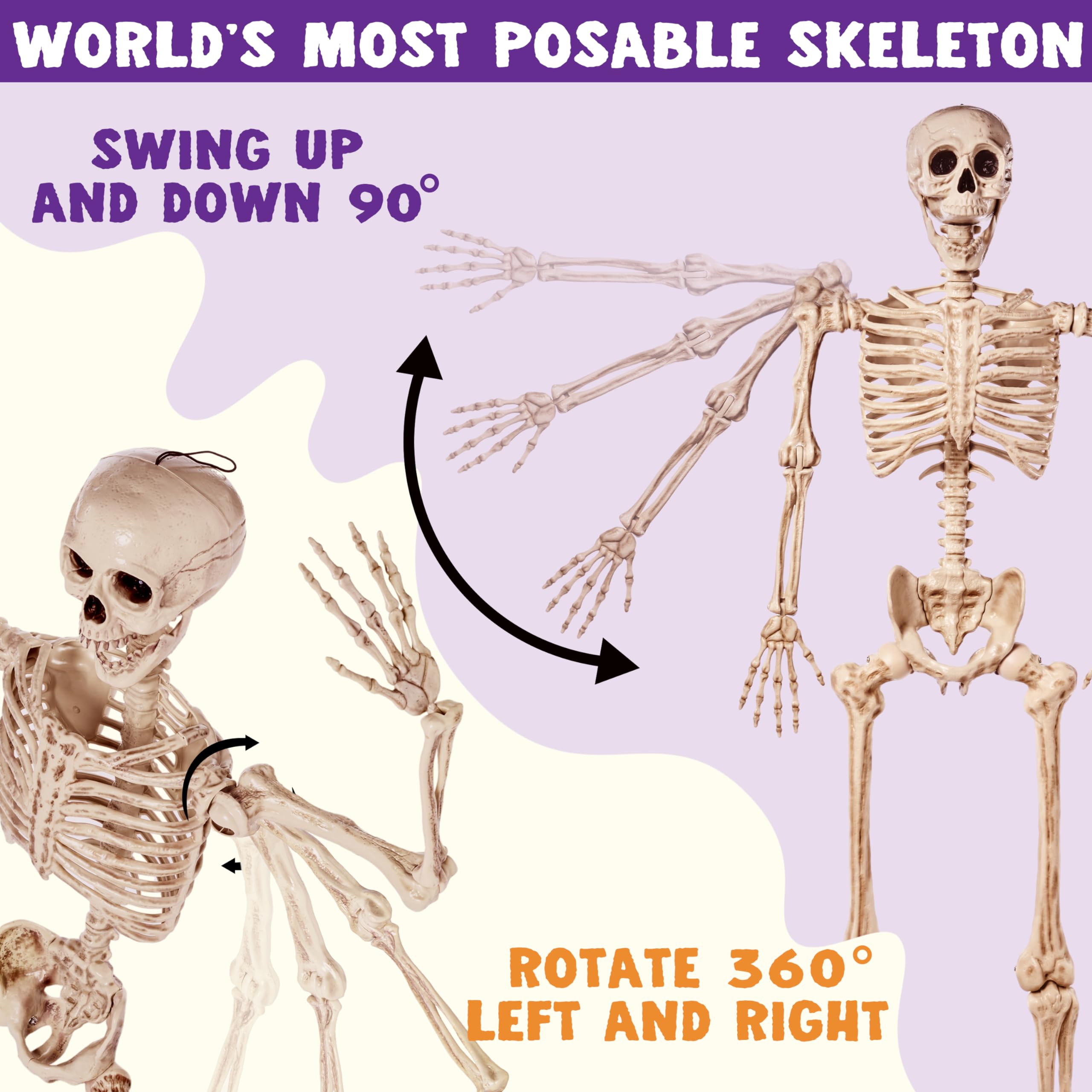 Mua JOYIN 5.6 FT Halloween Posable Life Size Skeleton, Full Body ...