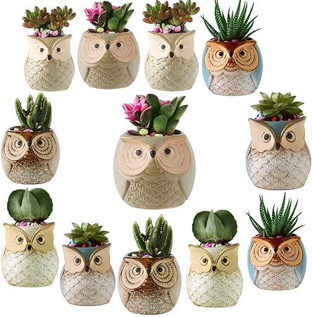 60+ Cutest Ceramic Animal Pots & Planters (In 2022) - UntamedAnimals