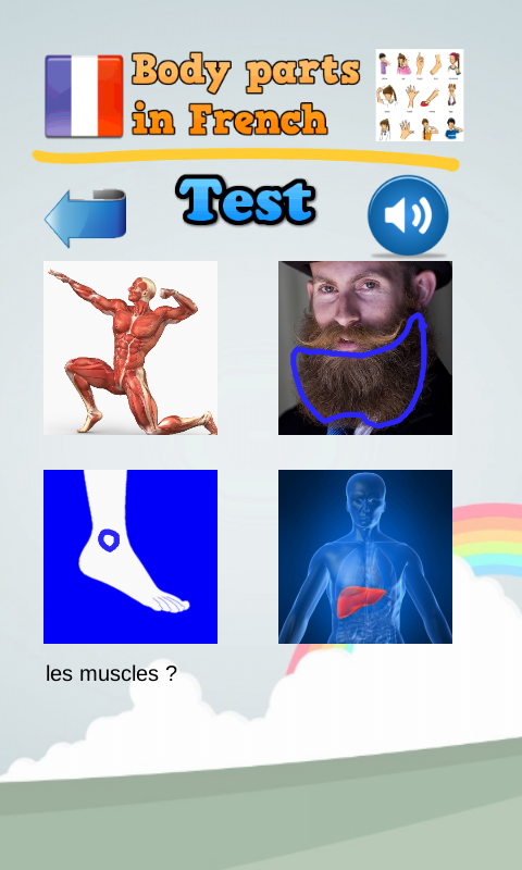 Learn Body Parts in French:Amazon.com:Appstore for Android