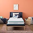 Amazon.com: Linenspa 8 Inch Memory Foam and Spring Hybrid Mattress ...
