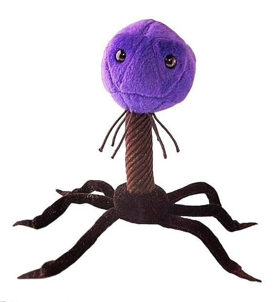 Giant Microbes T4 (T4-Bacteriophage): Amazon.co.uk: Toys & Games