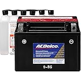 ACDelco 48AGM Professional AGM Automotive BCI Group 48 Battery ...
