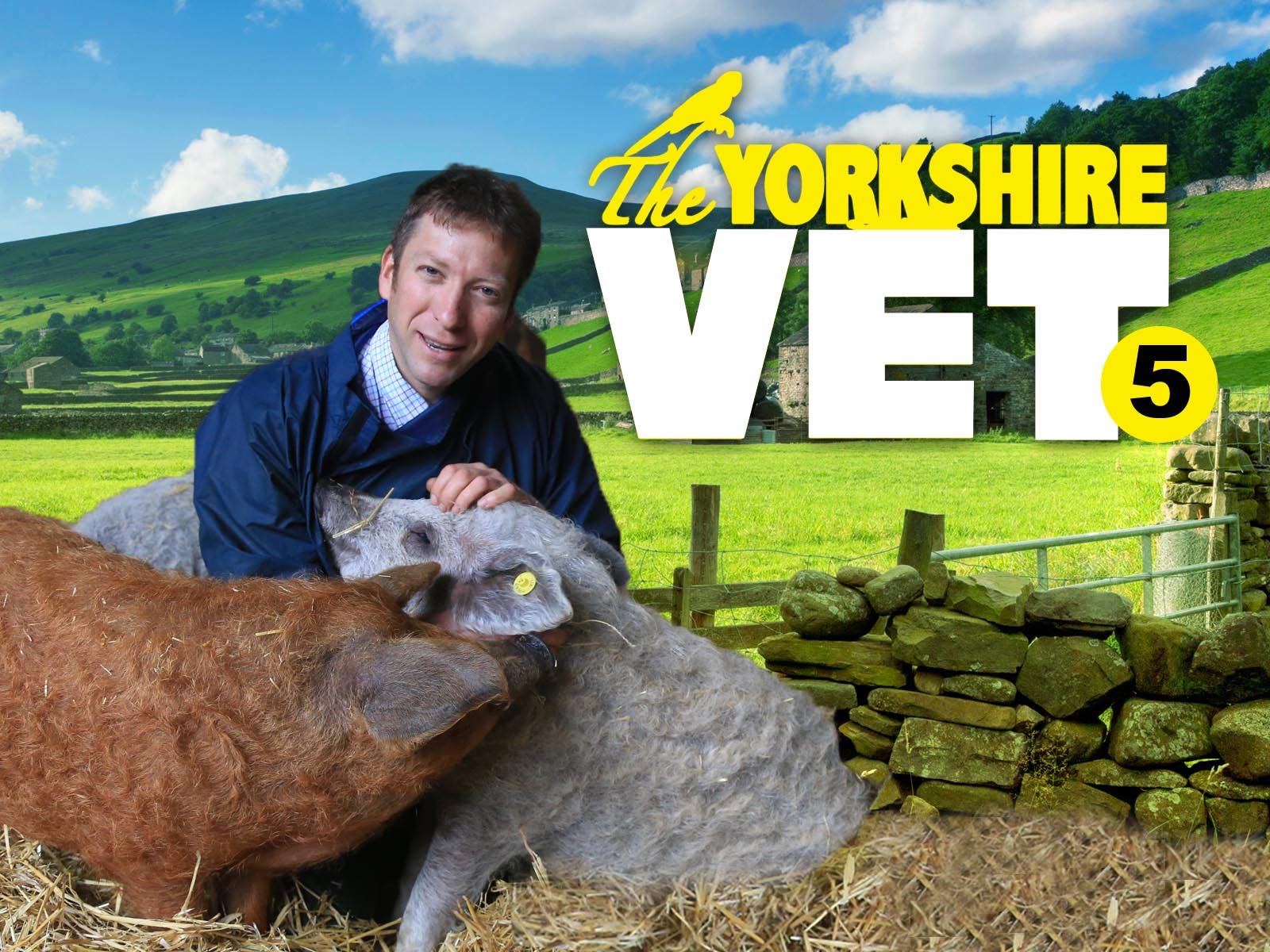 Watch The Yorkshire Vet | Prime Video