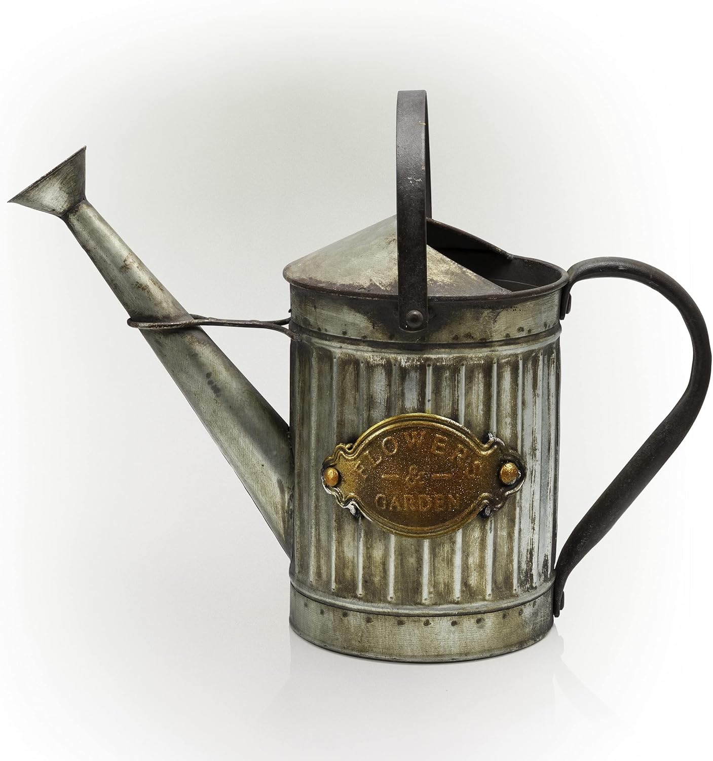 Amazon.com : Alpine Corporation YHL164HH-S Vintage Style Metal Watering ...