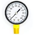 Amazon.com: Super Pro 80960BU Pool Spa Filter Water Pressure Gauge, 0 ...