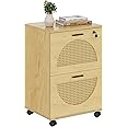 Amazon.com: YITAHOME 2 Drawer File Cabinet, Rattan Filing Cabinet with ...
