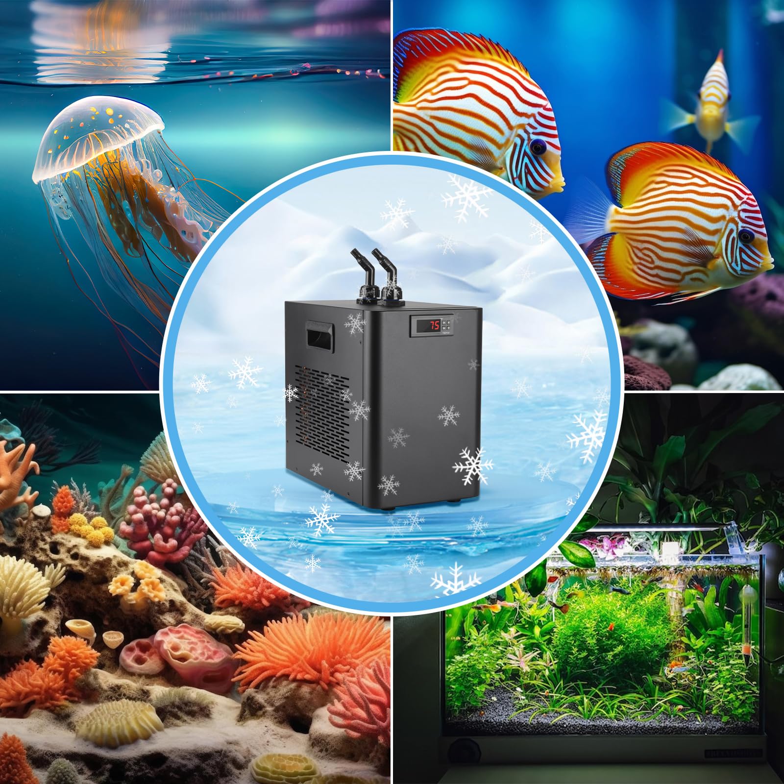 Mua Aquarium Chiller, 42gal 1/10 HP Water Cooler Fish Tank Chiller ...