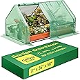 Amazon.com : GrowMate Mini Greenhouse Outdoor, Steel-Frame Portable ...