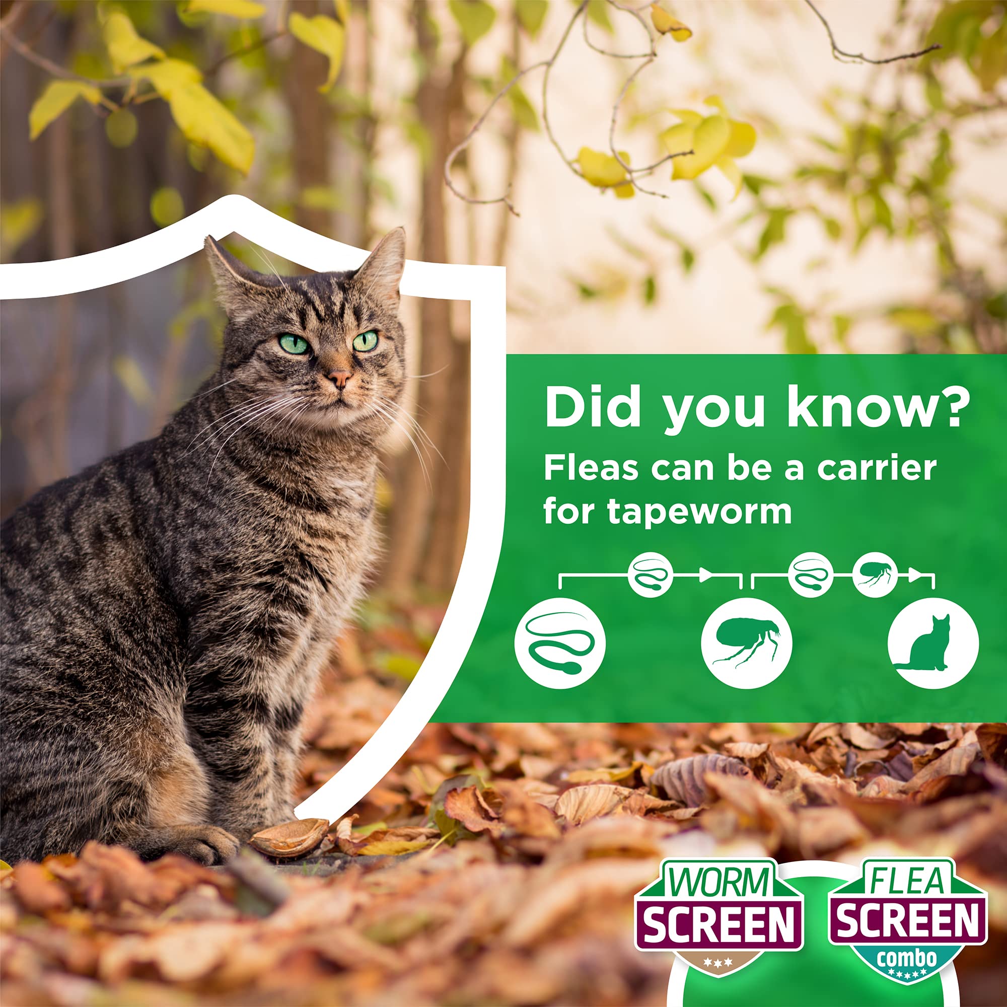 Mua WORM SCREEN Cat (2 tablets): Cat Worming Treatment - Veterinary ...