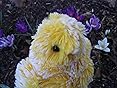 Amazon.com: Douglas Multi Yellow Chick Plush Stuffed Animal : Toys & Games
