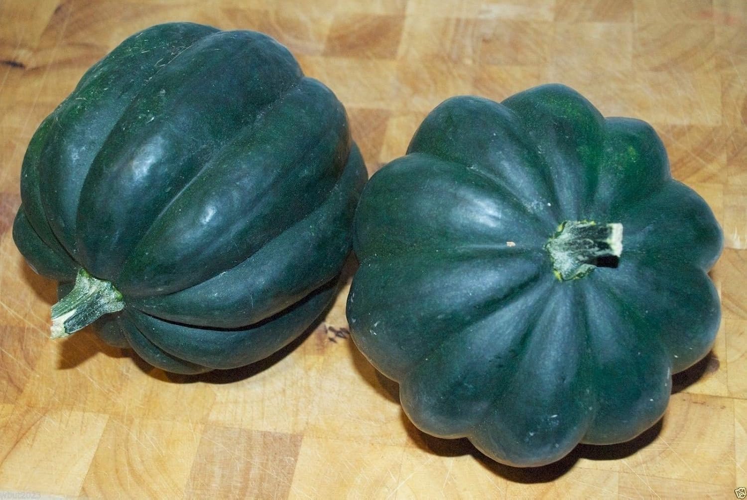 Amazon.com: Winter Squash,Table Queen Acorn - Organic,Heirloom (Open ...