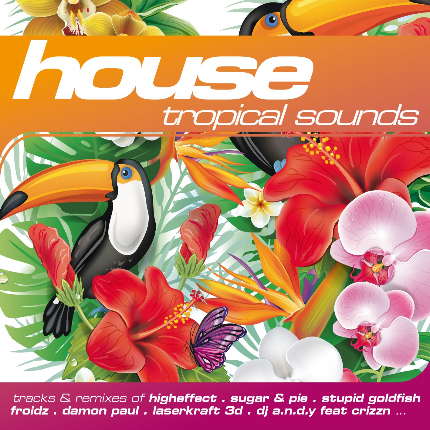 House: Tropical Sounds - Various Artists: Amazon.de: Musik