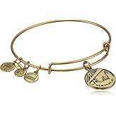Amazon.com: Alex and Ani "Places We Love" Rafaelian Gold-Tone Providence Expandable Wire Bangle ...