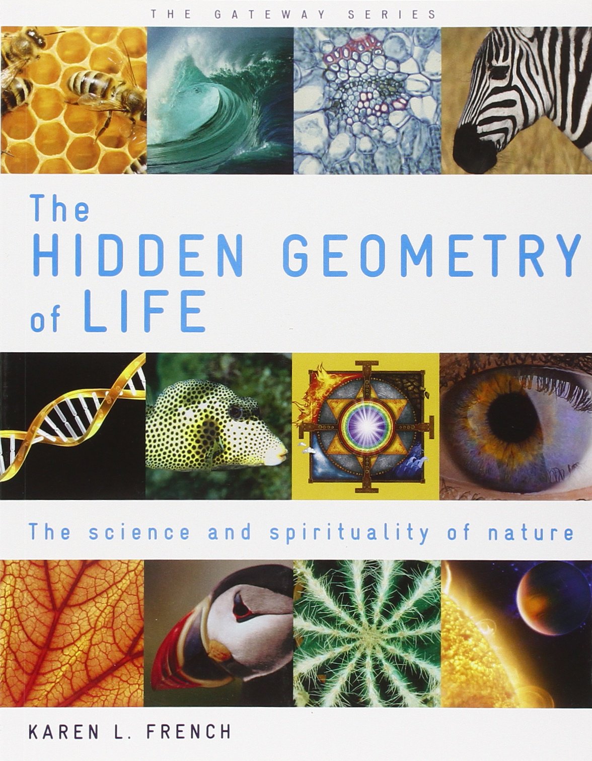 My September 2017 Book Haul | Duckie's Book Nook