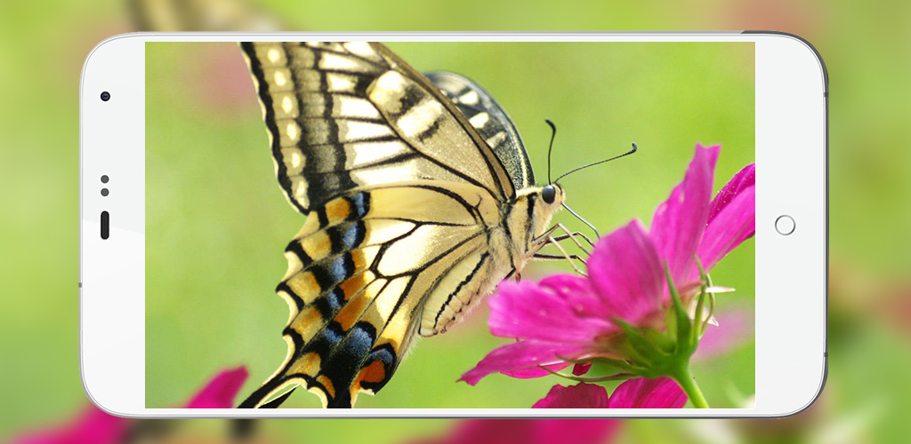 Amazon.com: Microscope Simulator HD: Appstore for Android