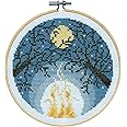 Amazon.com: Design Works Crafts Campfire Counted Cross Stitch Kit with Hoop