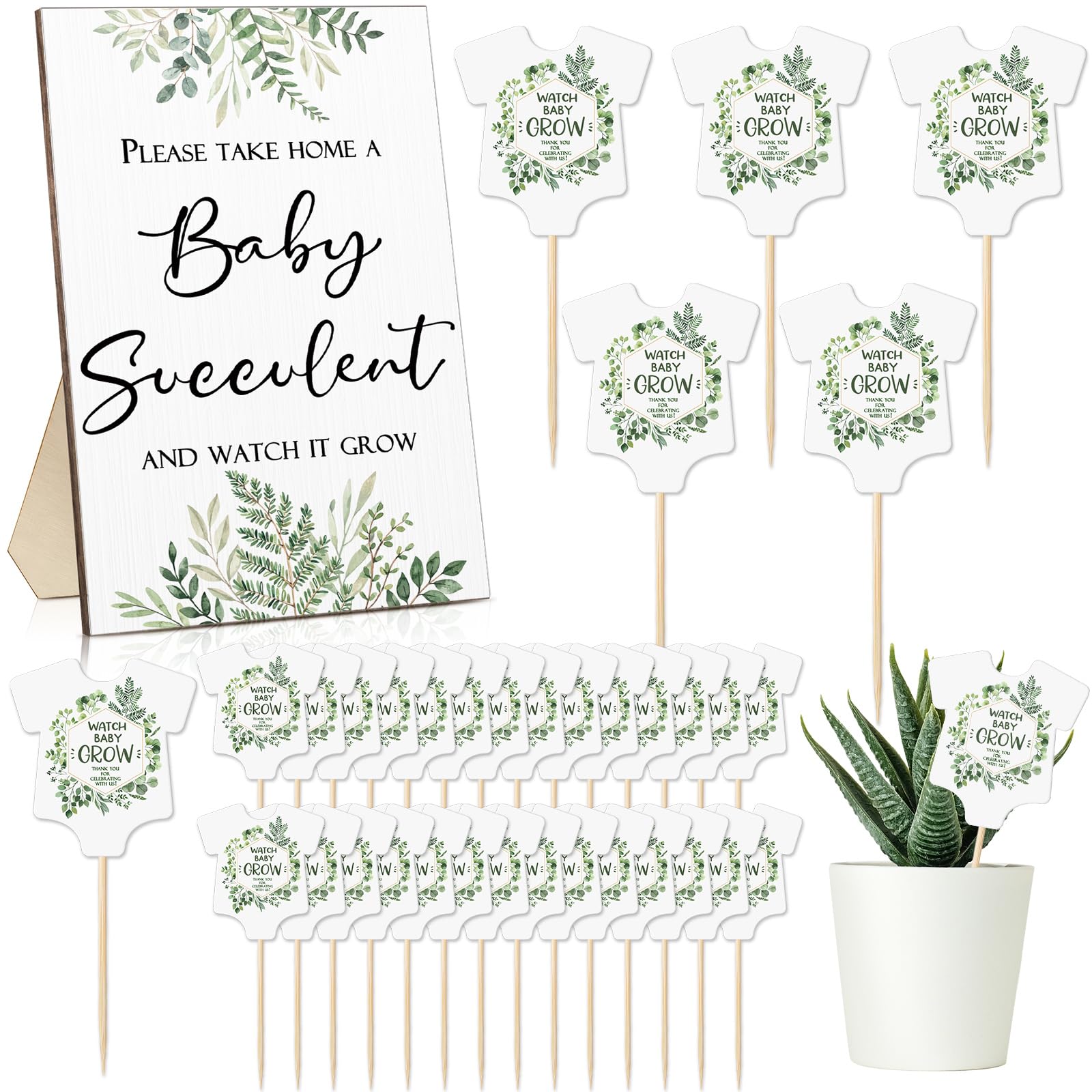 Newcotte Baby Shower Party Favors Succulent Tags Include 1 Piece Wooden ...