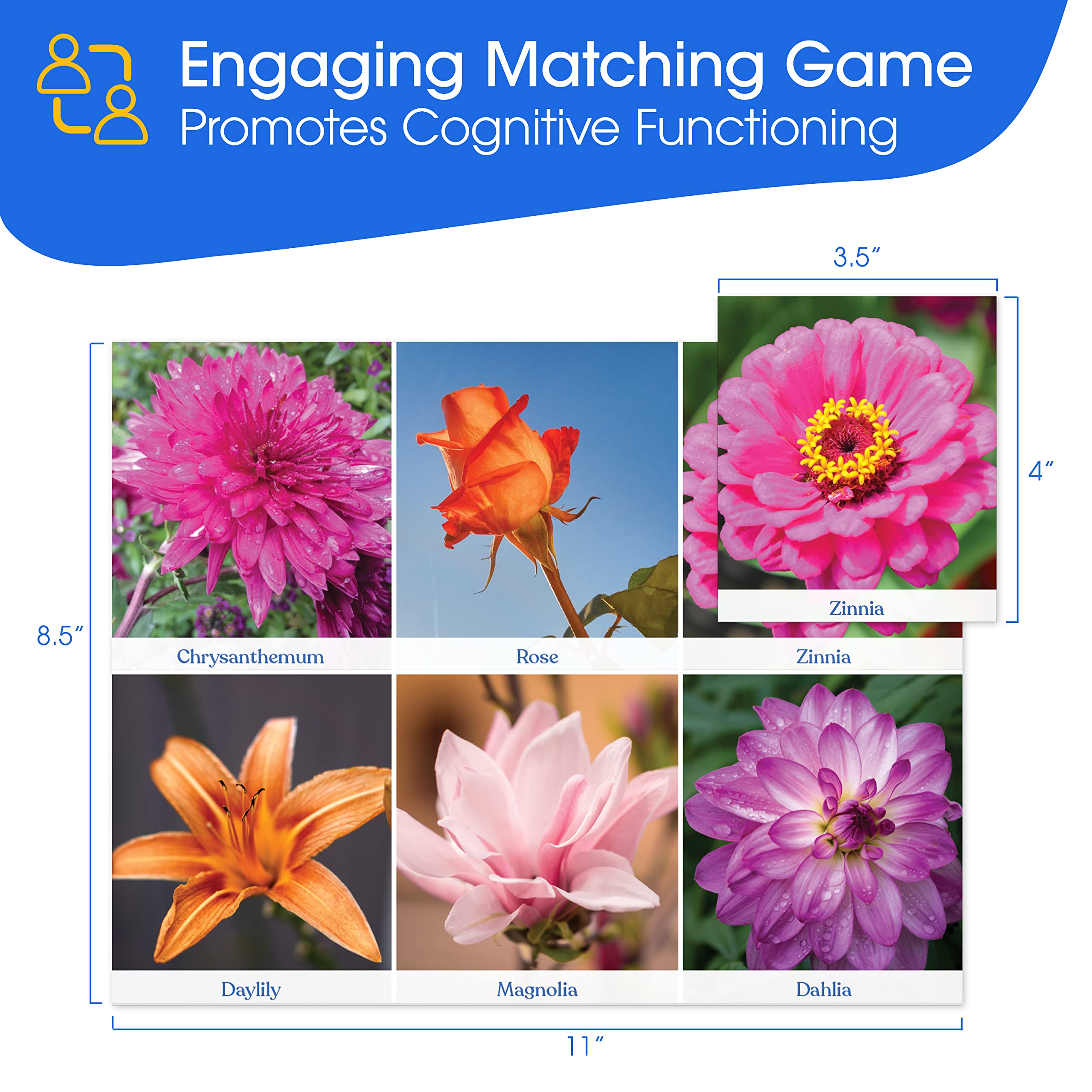 Mua Keeping Busy Match The Photos with Fun Facts Set 1 Dementia ...