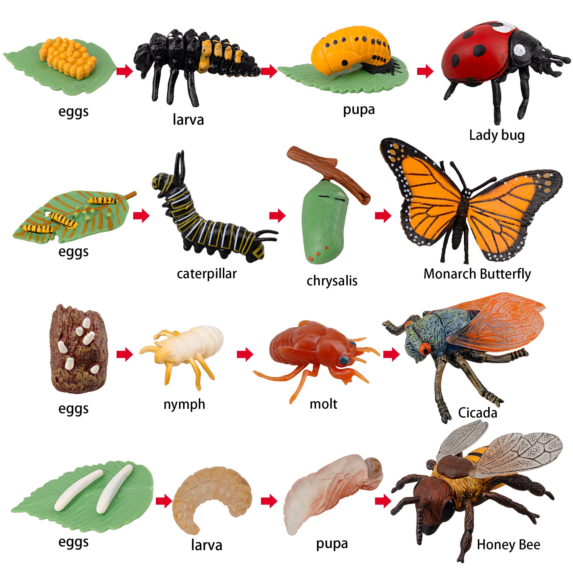Mua Toymany 16PCS Insect Figurines Life Cycle of Monarch Butterfly ...