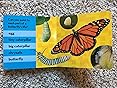 Amazon.com: National Geographic Kids Look and Learn: Caterpillar to ...