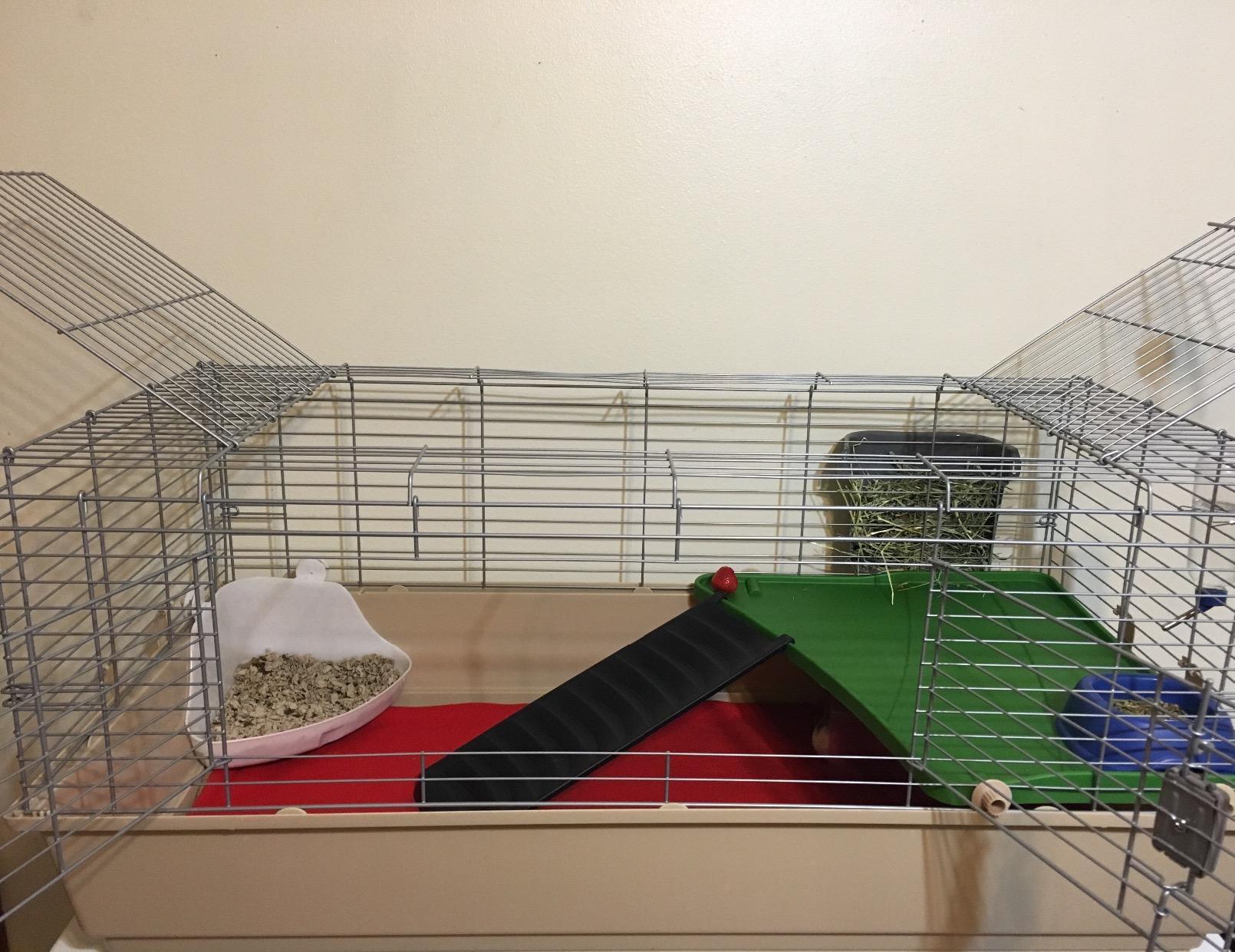 $15/mo - Finance Amazon Basics Small Animal Cage Habitat With ...