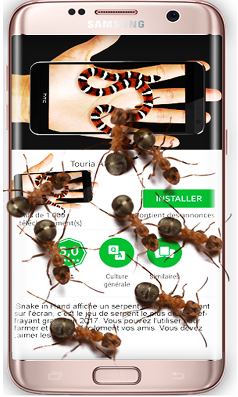 Ants On Screen 2:Amazon.com:Appstore for Android
