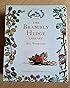 Brambly Hedge: The Classic Collection: Updated edition for the 40th ...