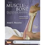 The Muscle and Bone Palpation Manual with Trigger Points, Referral ...
