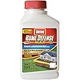 Amazon.com: Ortho Home Defense MAX Termite and Destructive Bug Killer ...