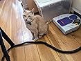 Amazon.com: Cacovedo 30 ft Dog Cat Cord Protector Electric Wires Covers ...