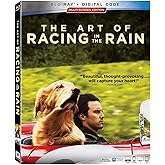 The Art of Racing in the Rain: Stein, Garth: 9780061537936: Amazon.com ...