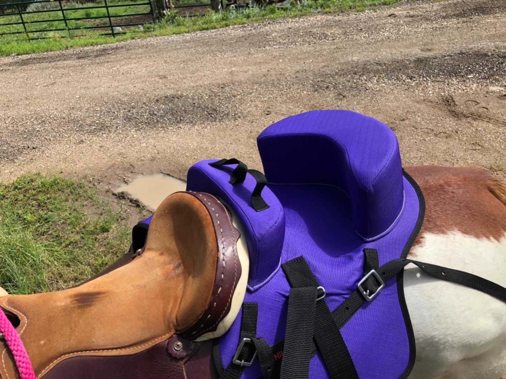 $15/mo - Finance HILASON Western Horse Saddle Buddy Seat for Kids ...