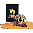 Amazon.com : iGifts And Cards Scary Black Cat on Pumpkin Halloween 3D ...
