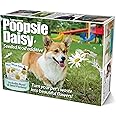 Amazon.com: Prank-O Prank Gift Box, Poopsie Daisy, Gag Gift Empty Box ...